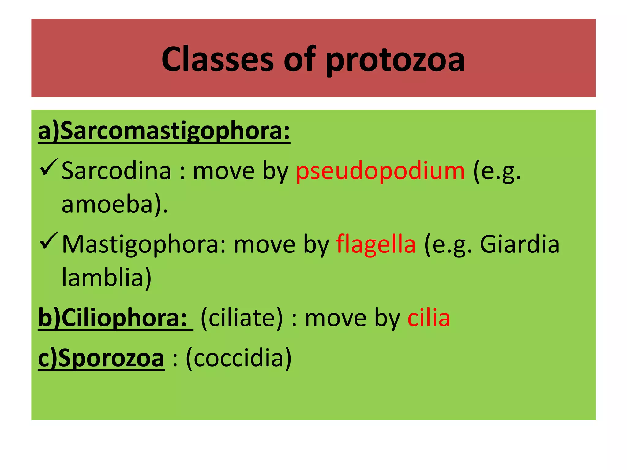 Introduction to medical parasitology | PPTX