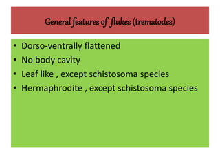 Introduction to medical parasitology | PPTX