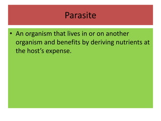 Introduction to medical parasitology | PPTX