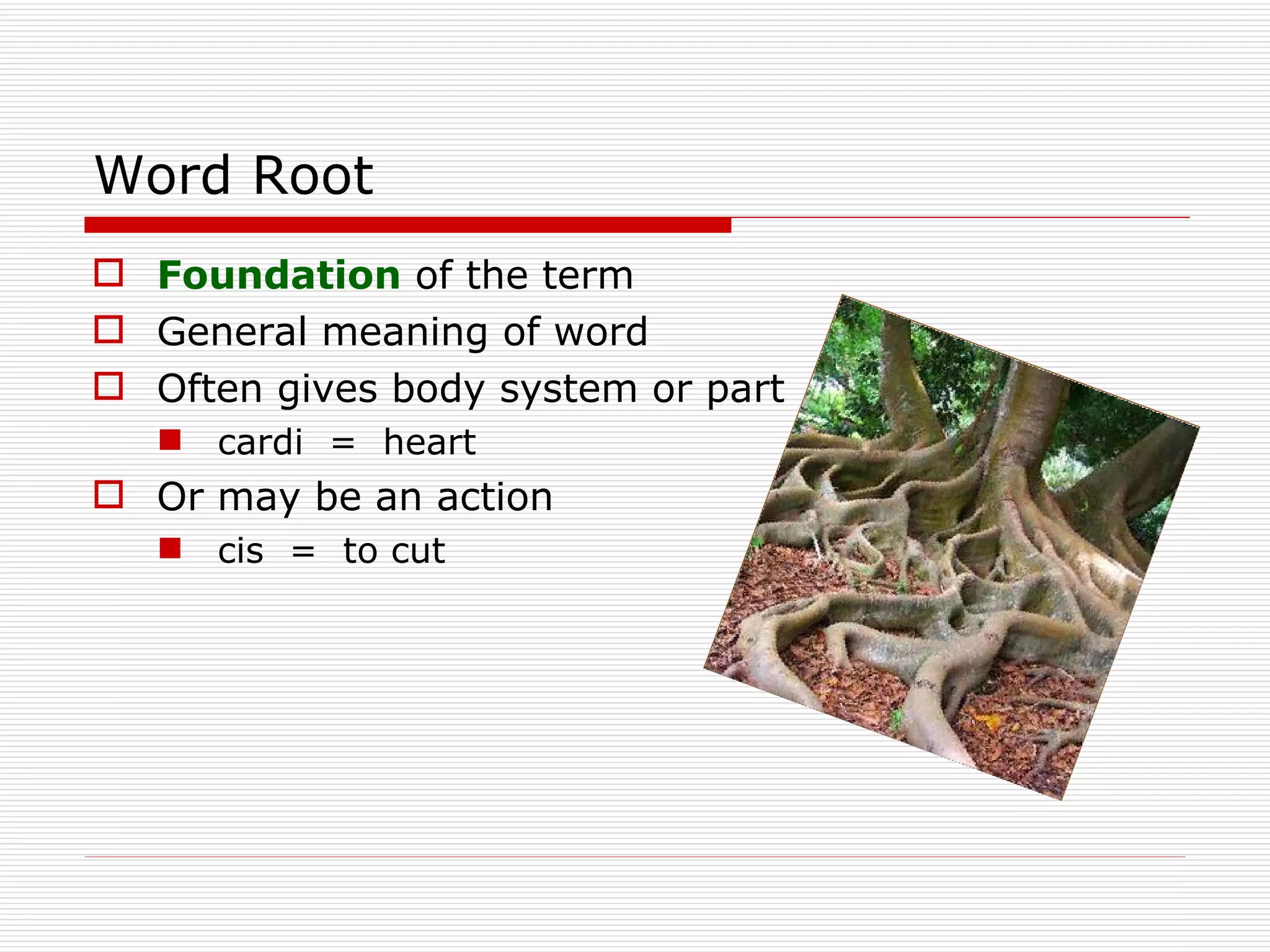 Introduction to Medical Terminology | PPT