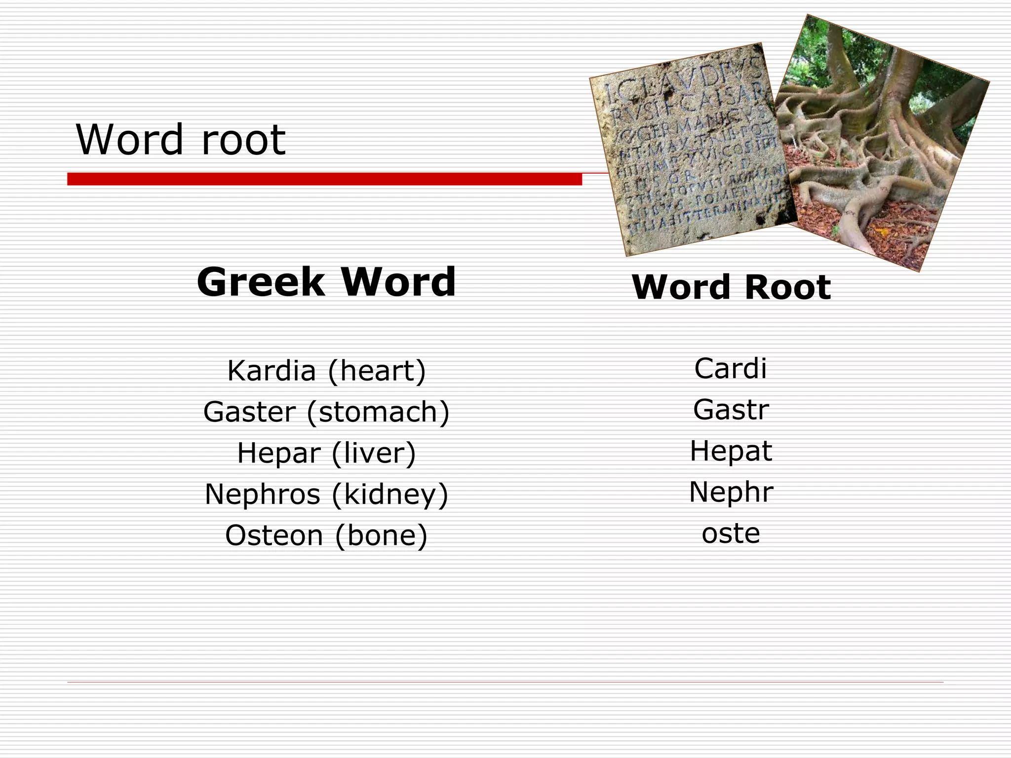Introduction to Medical Terminology | PPT