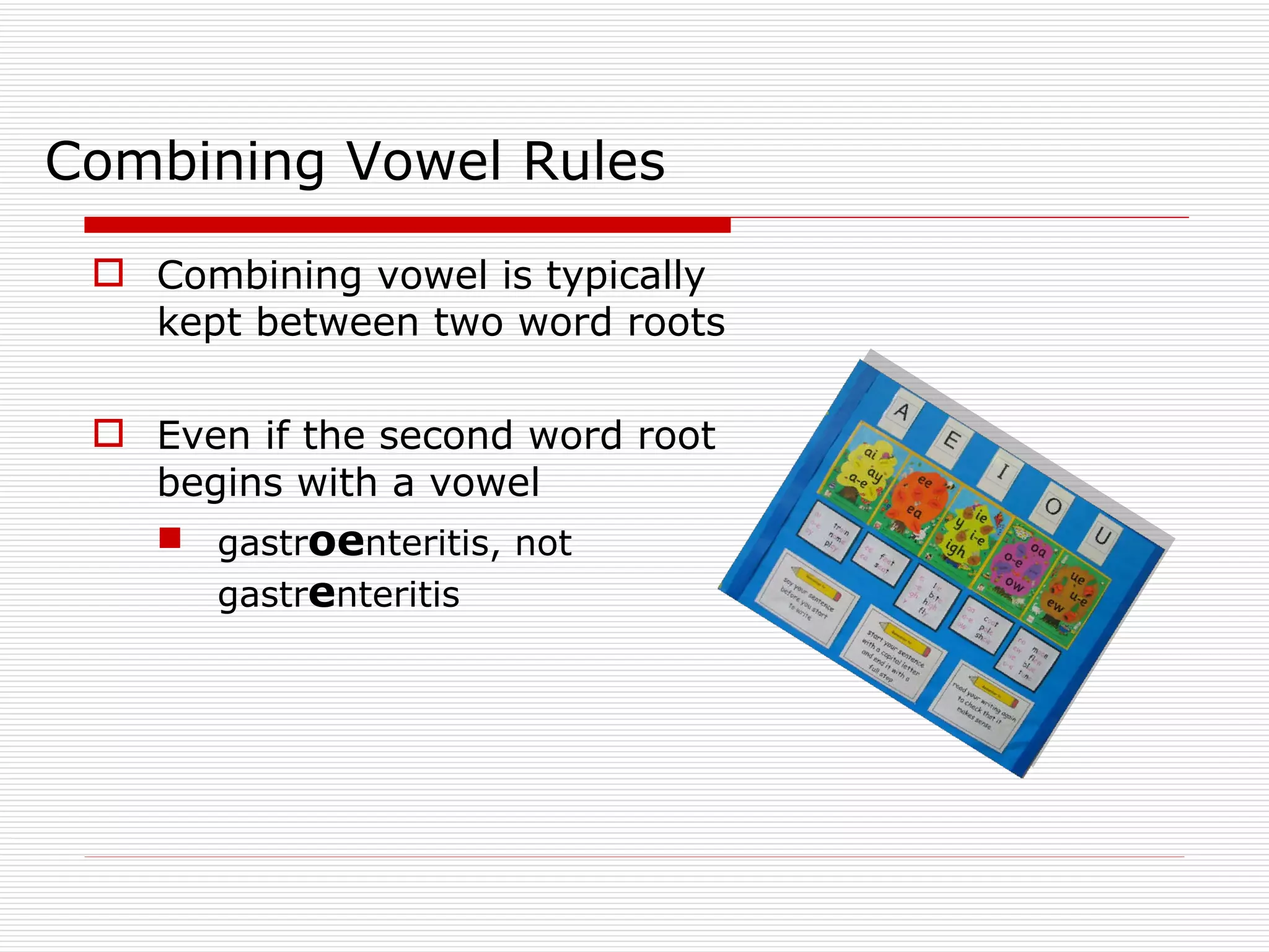 Introduction to Medical Terminology | PPT