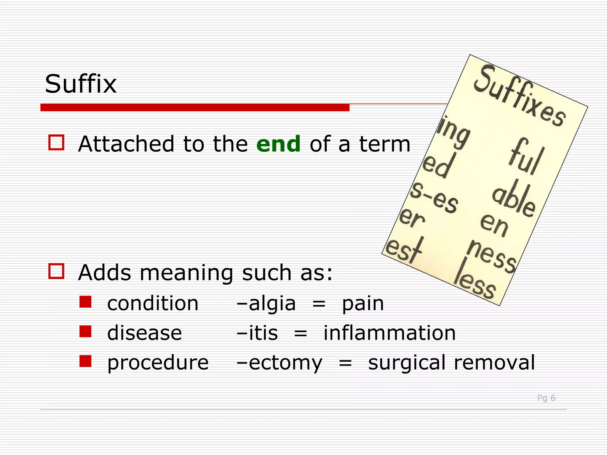 Introduction to Medical Terminology | PPT