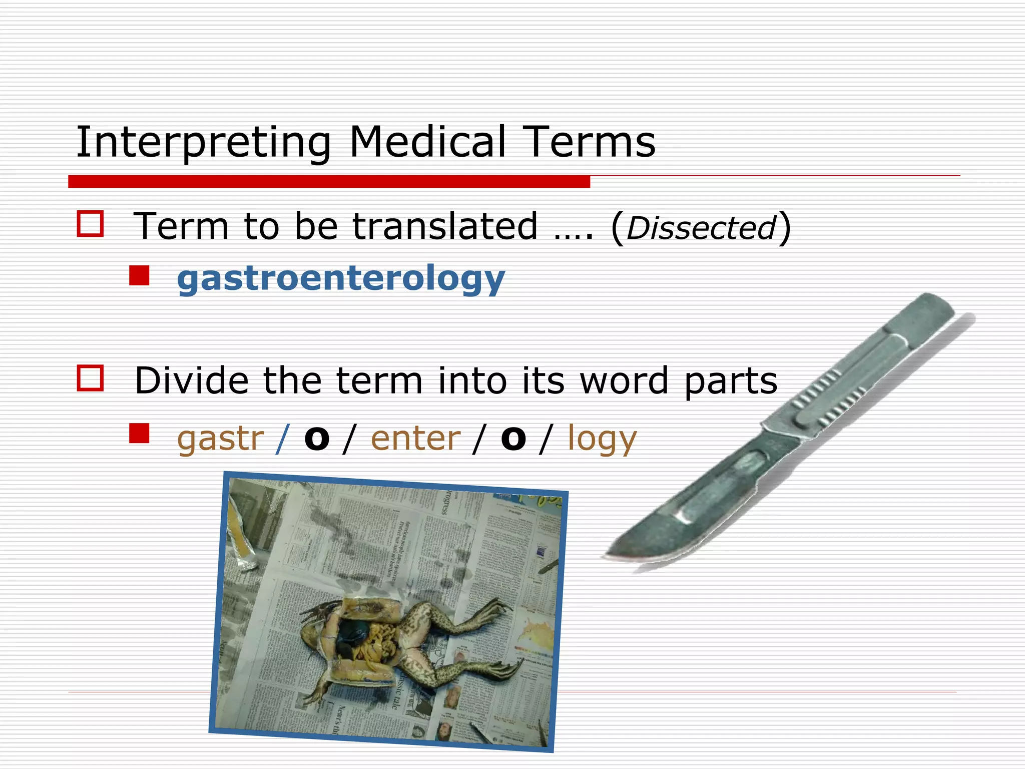 Introduction to Medical Terminology | PPT