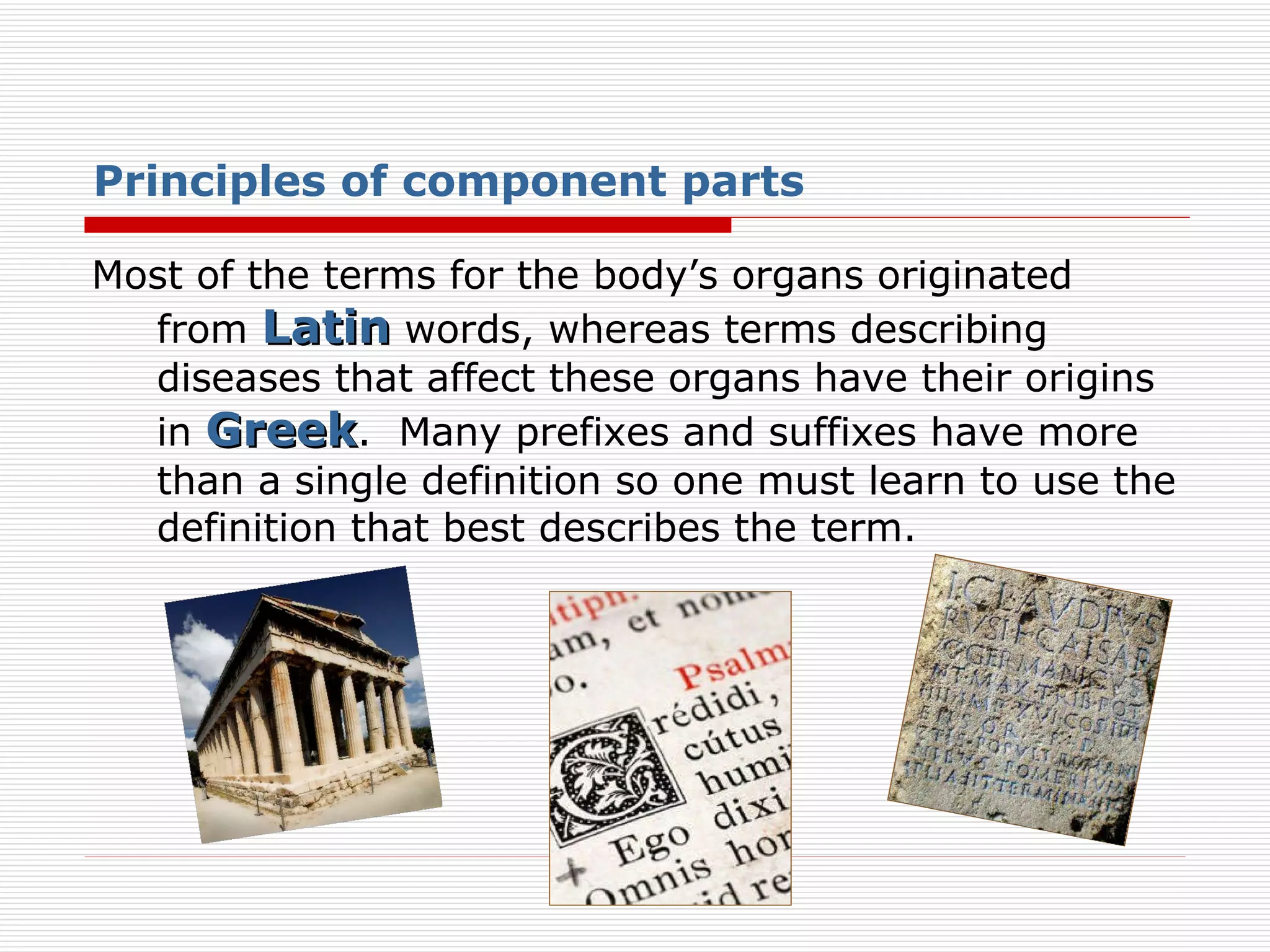 Introduction to Medical Terminology | PPT