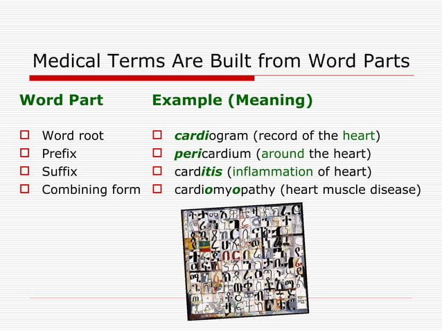Introduction to Medical Terminology | PPT | Medical Health