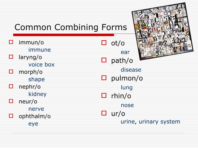 Introduction to Medical Terminology | PPT | Medical Health