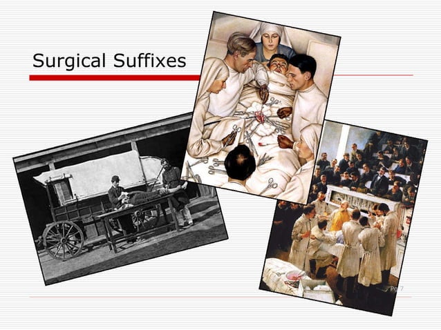 Introduction to Medical Terminology | PPT | Medical Health