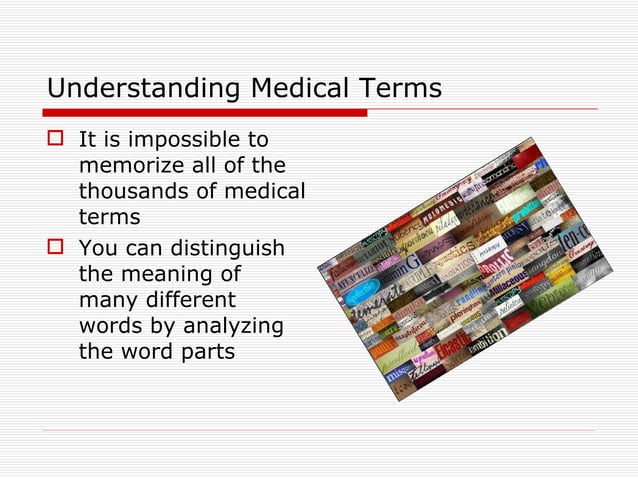 Introduction to Medical Terminology | PPT | Medical Health