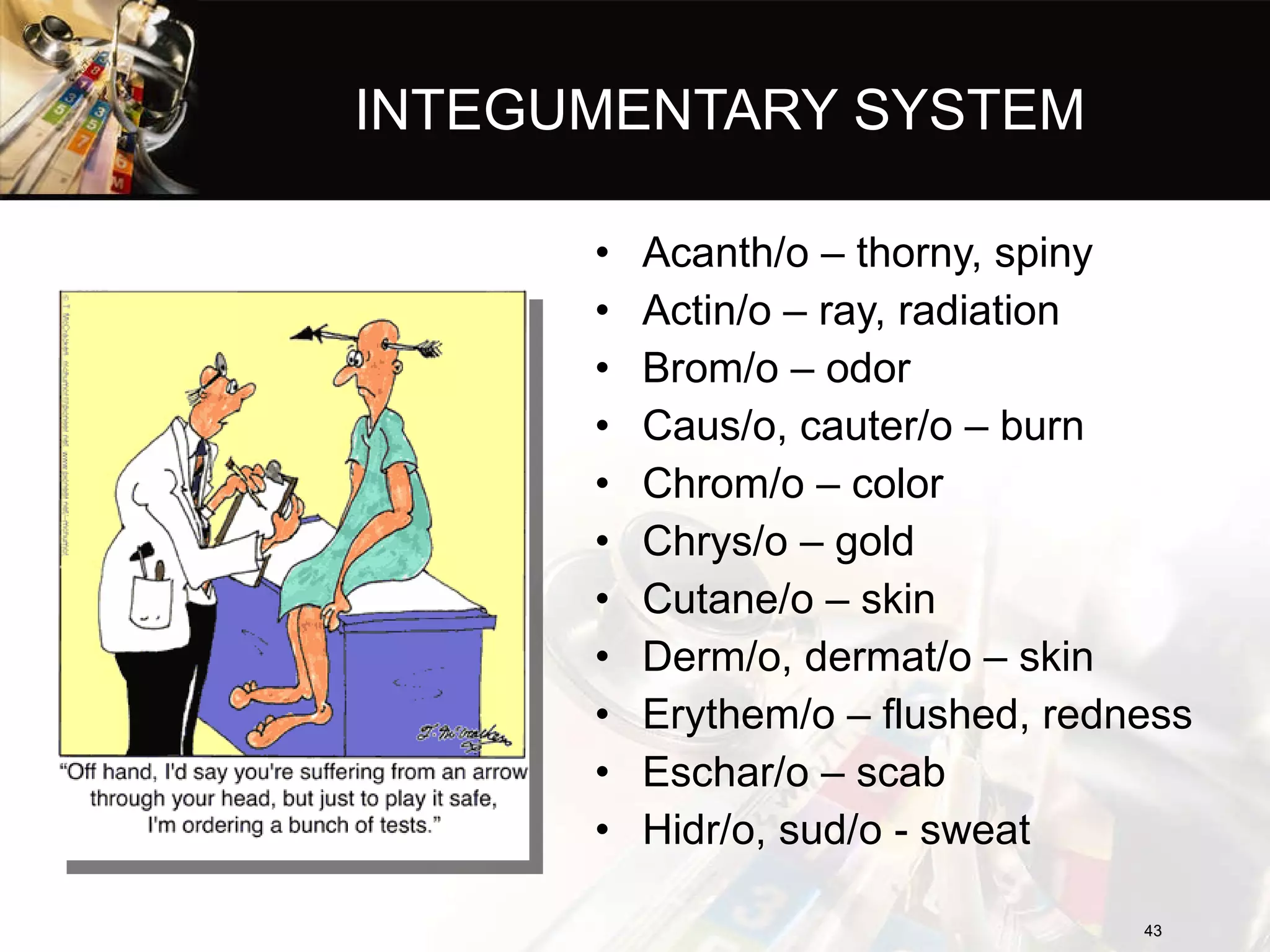 Introduction to medical terminology | PPT