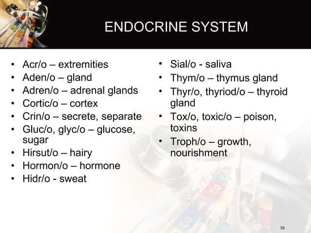 Introduction to medical terminology | PPT