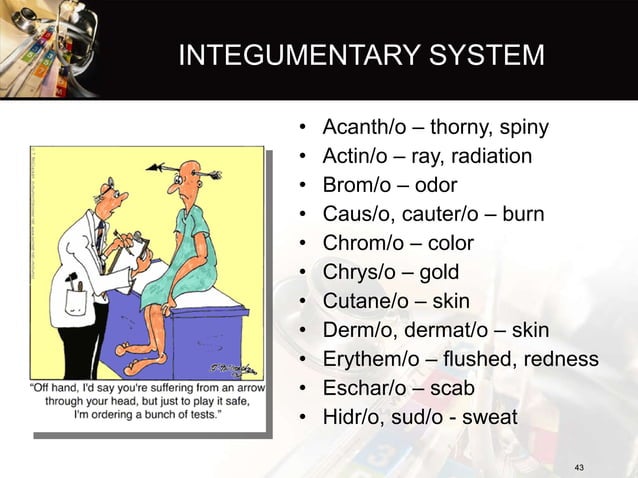 Introduction to medical terminology | PPT