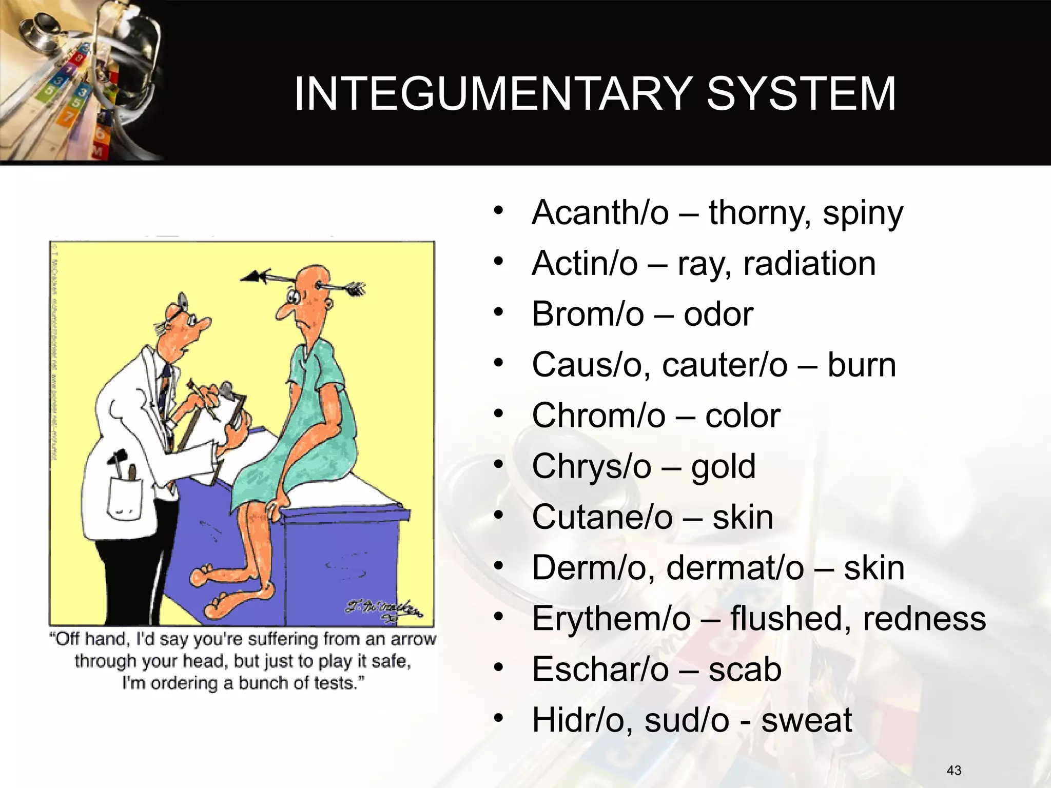 Introduction to medical terminology hss edition 11-2009 | PPT