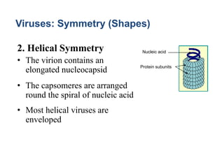 Introduction to medical virology | PPT