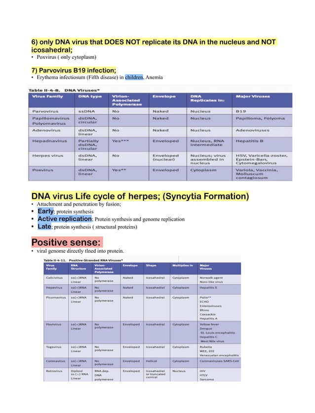 Introduction to medical virology.pdf | Infectious Diseases | Diseases ...