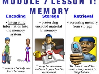 Module 7 Lesson 1: Memory | PPT