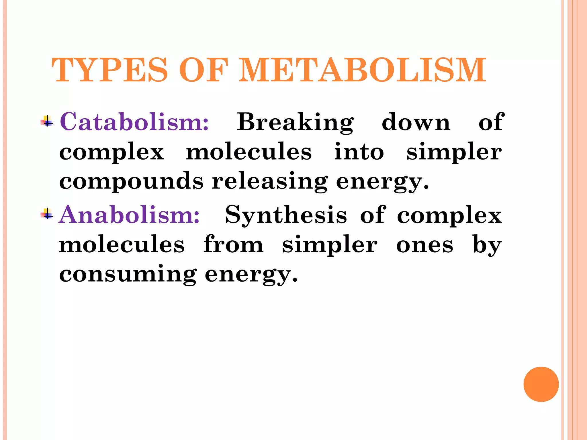 Introduction to metabolism | PPT