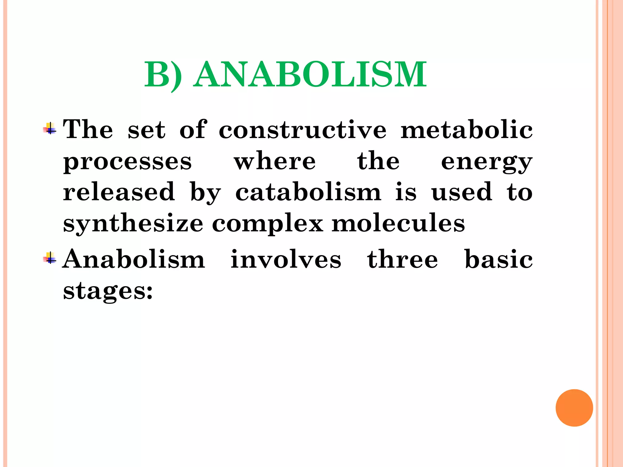 Introduction to metabolism | PPT