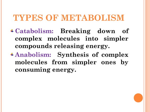 Introduction to metabolism | PPT