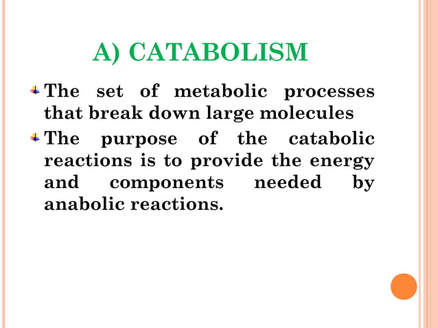 Introduction to metabolism | PPT