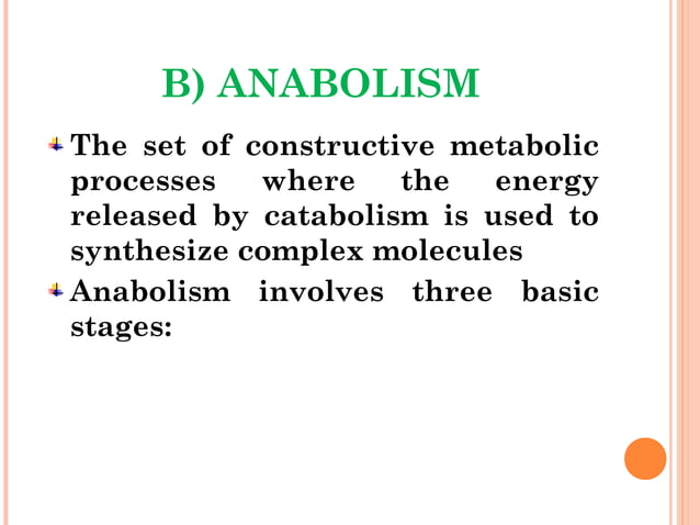 Introduction to metabolism | PPT
