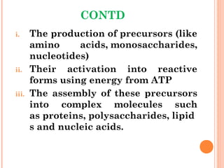 Introduction to metabolism | PPT