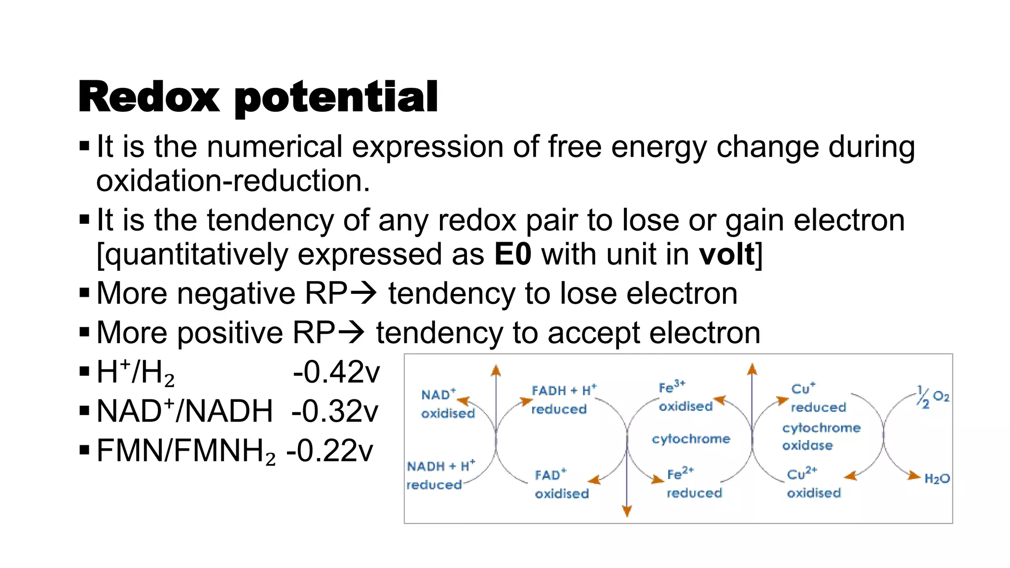 Introduction to metabolism | PPTX