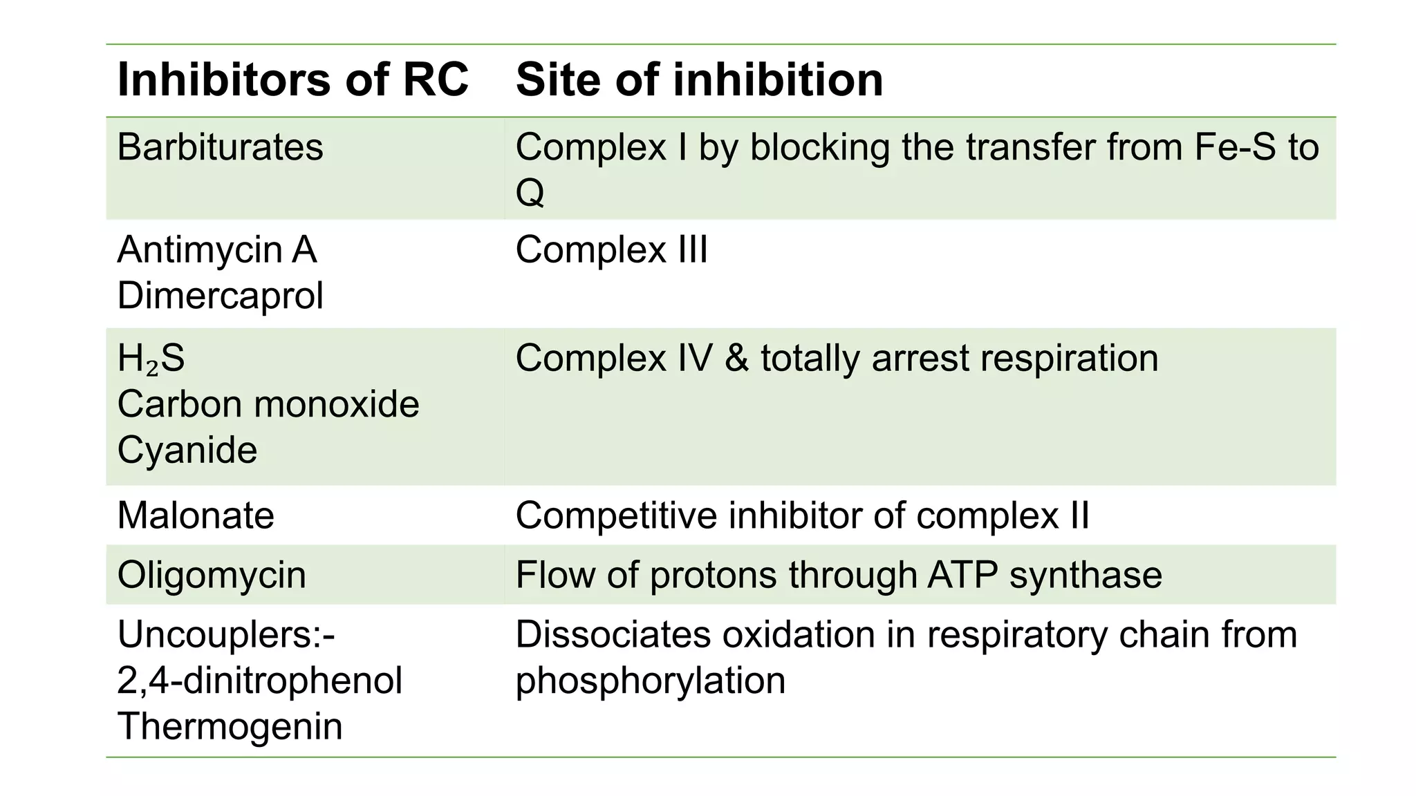 Introduction to metabolism | PPTX
