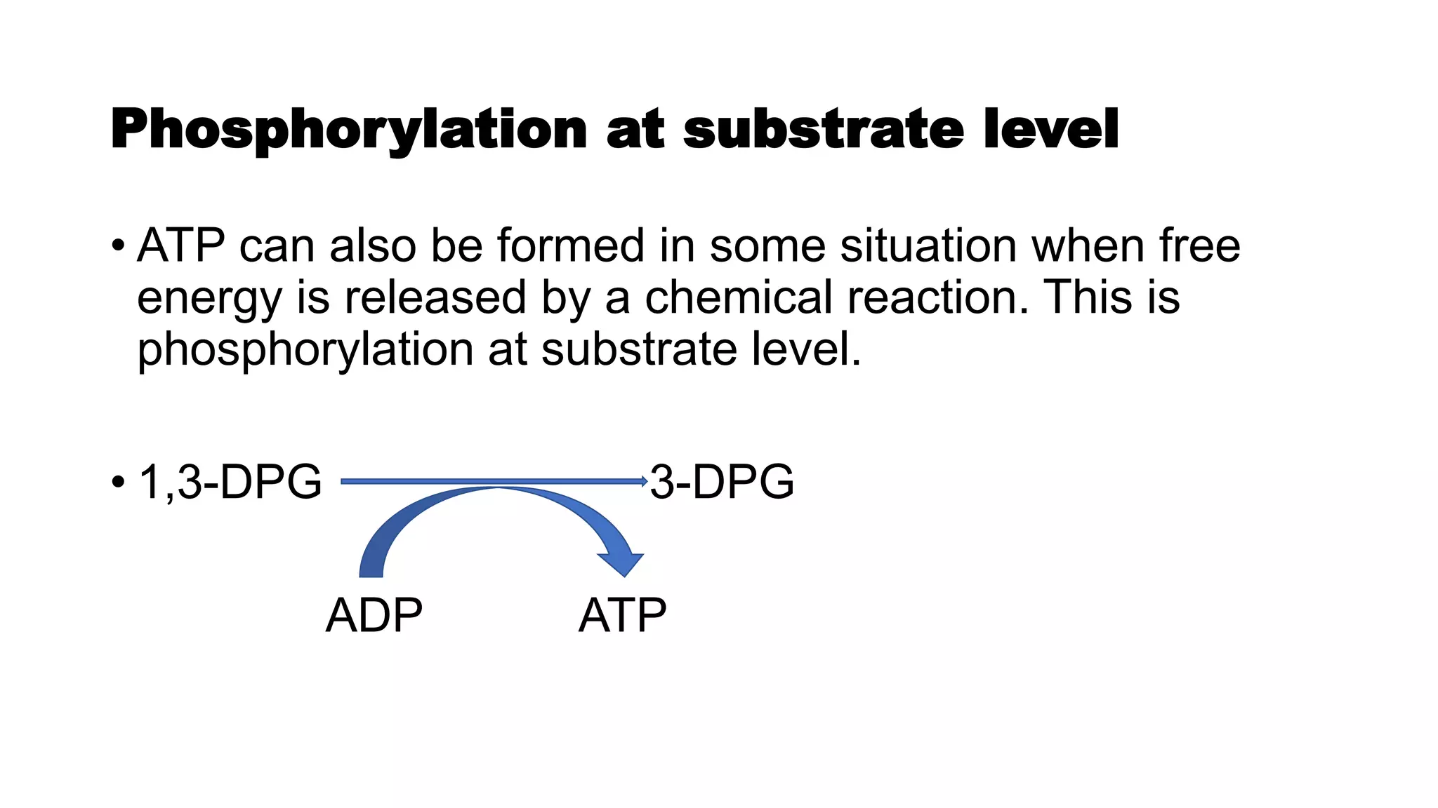 Introduction to metabolism | PPTX