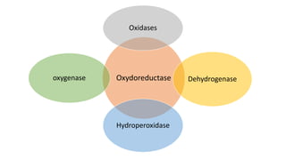 Introduction to metabolism | PPTX