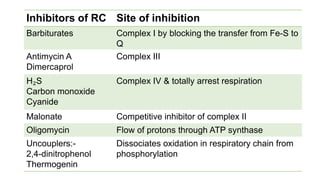 Introduction to metabolism | PPTX