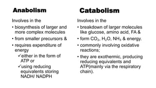 Introduction to metabolism | PPTX