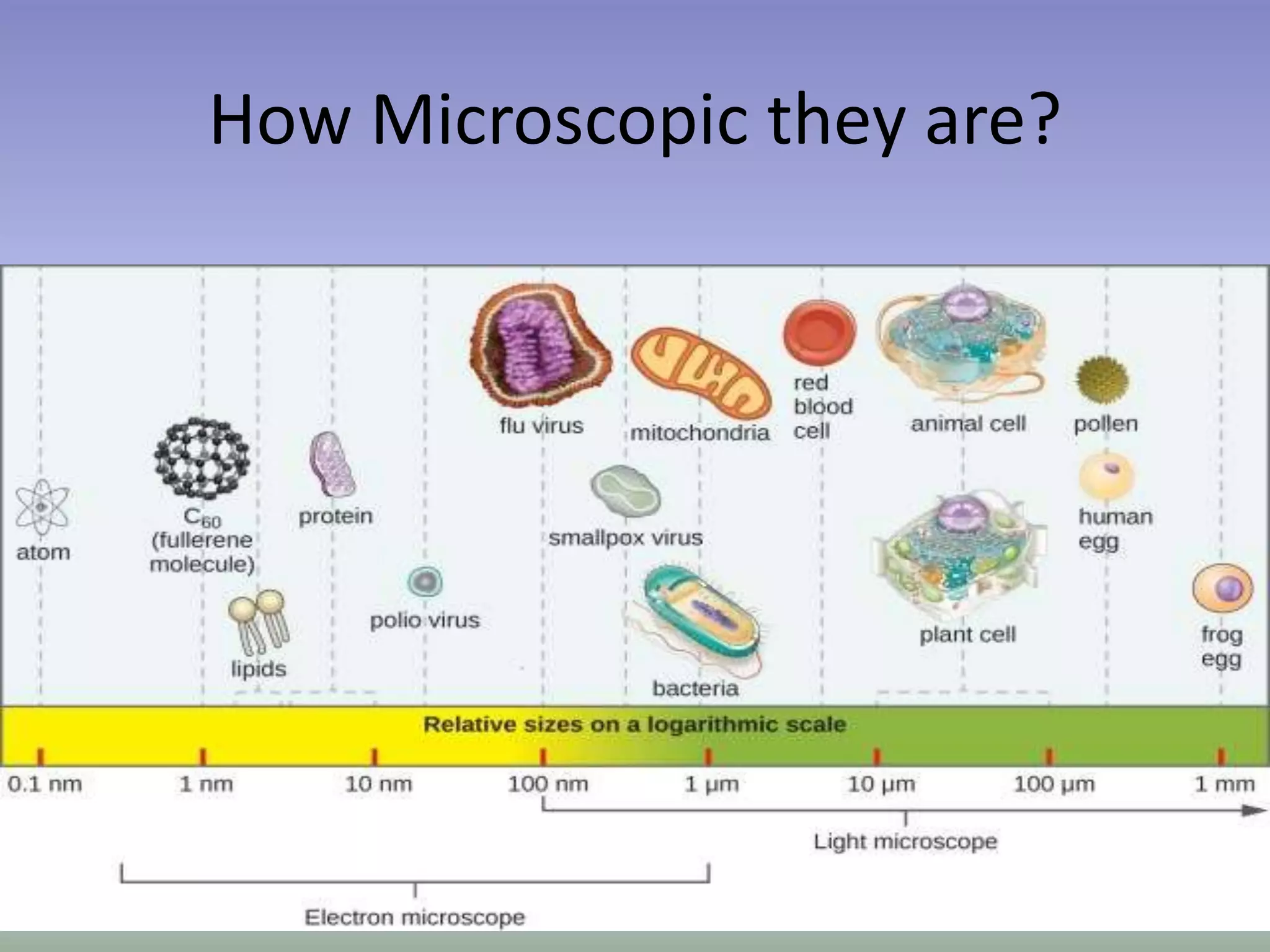 Introduction to Microbial World.pptx