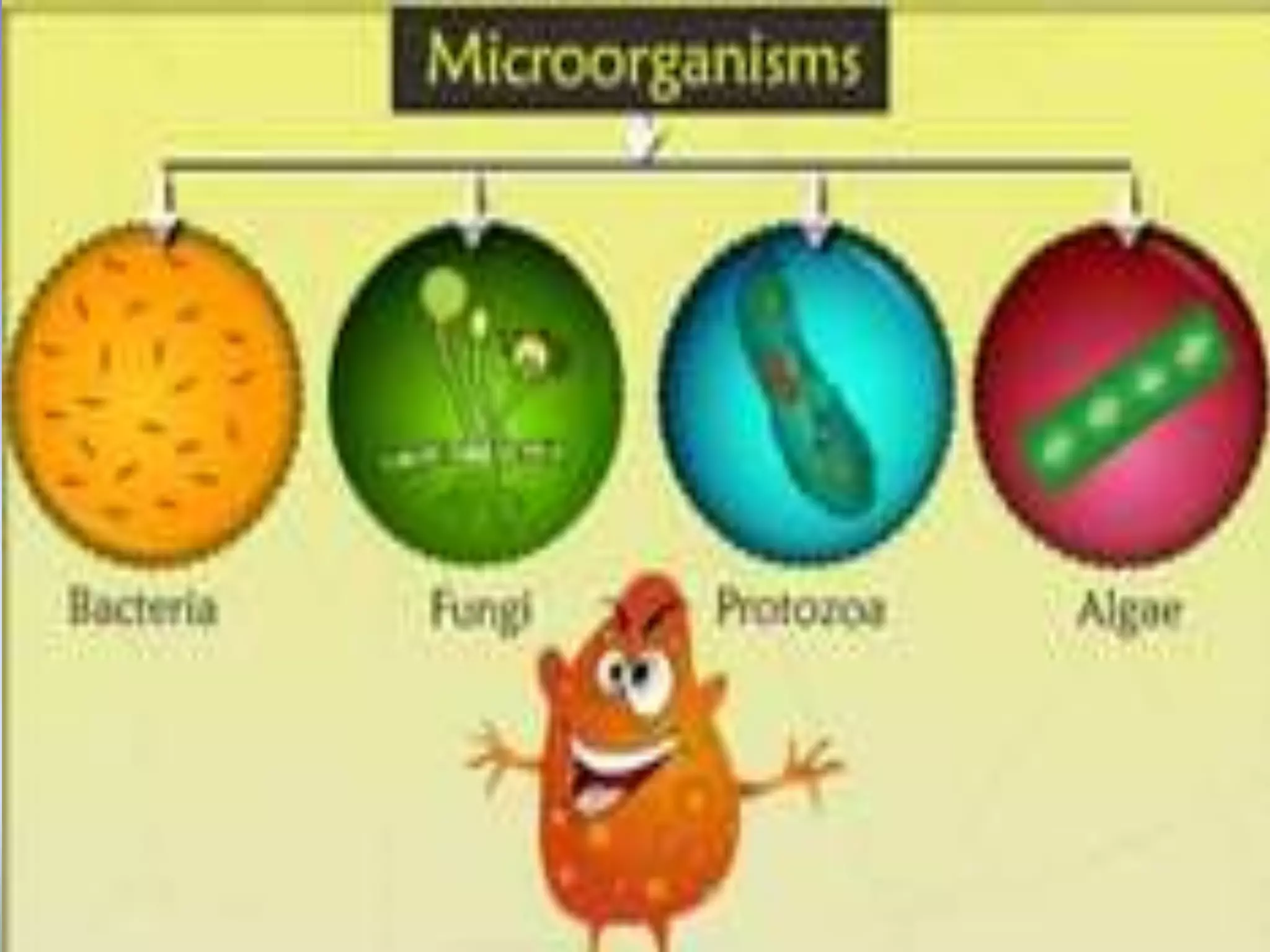 Introduction To Microbial World Pptx