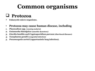 Introduction to Microbiology | PPT