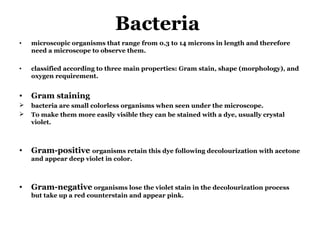 Introduction to Microbiology | PPT
