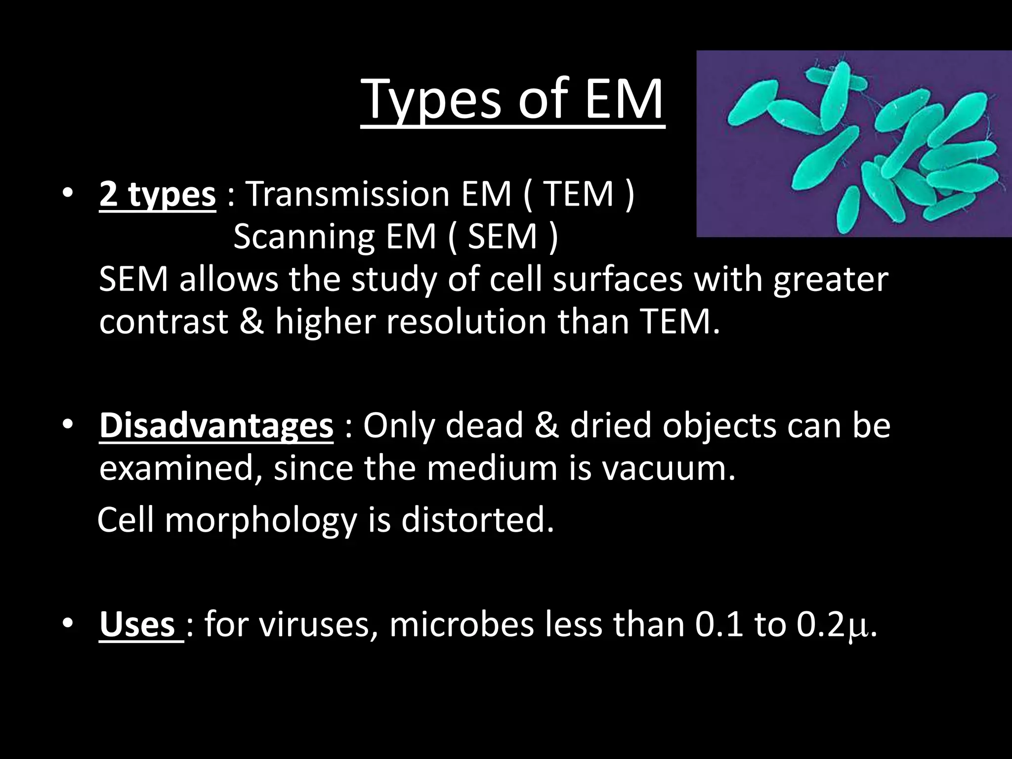 Introduction to microbiology | PPTX