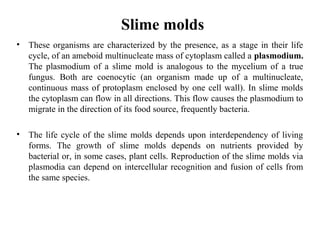 Introduction to microbiology | PPT