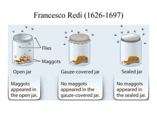 Introduction to microbiology | PPT