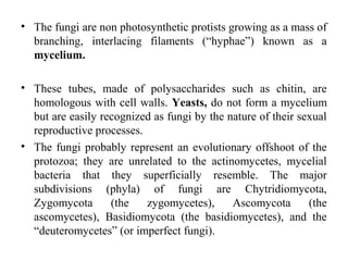 Introduction to microbiology | PPT