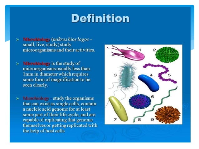 Introduction to microbiology | PPTX