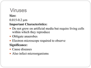 Introduction to microbiology | PPTX