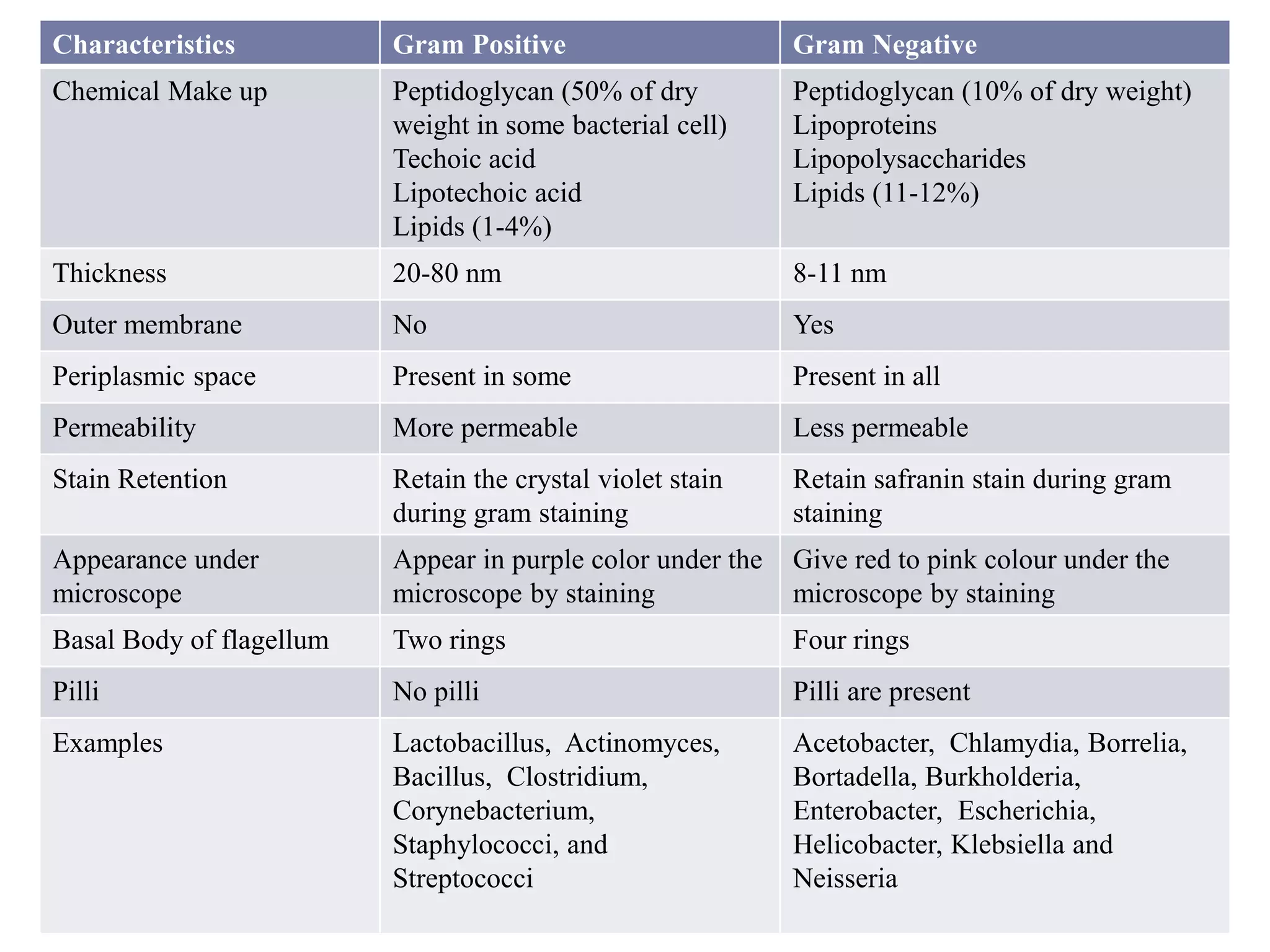 Introduction to microbiology, Bacterial Cell wall, Difference between ...