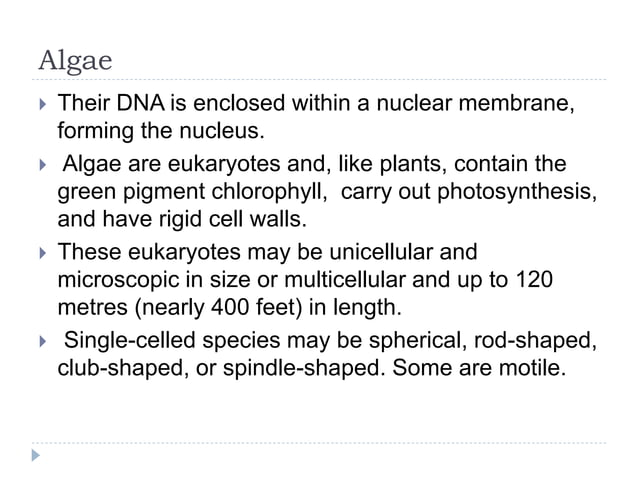 Introduction to microbiology, Bacterial Cell wall, Difference between ...
