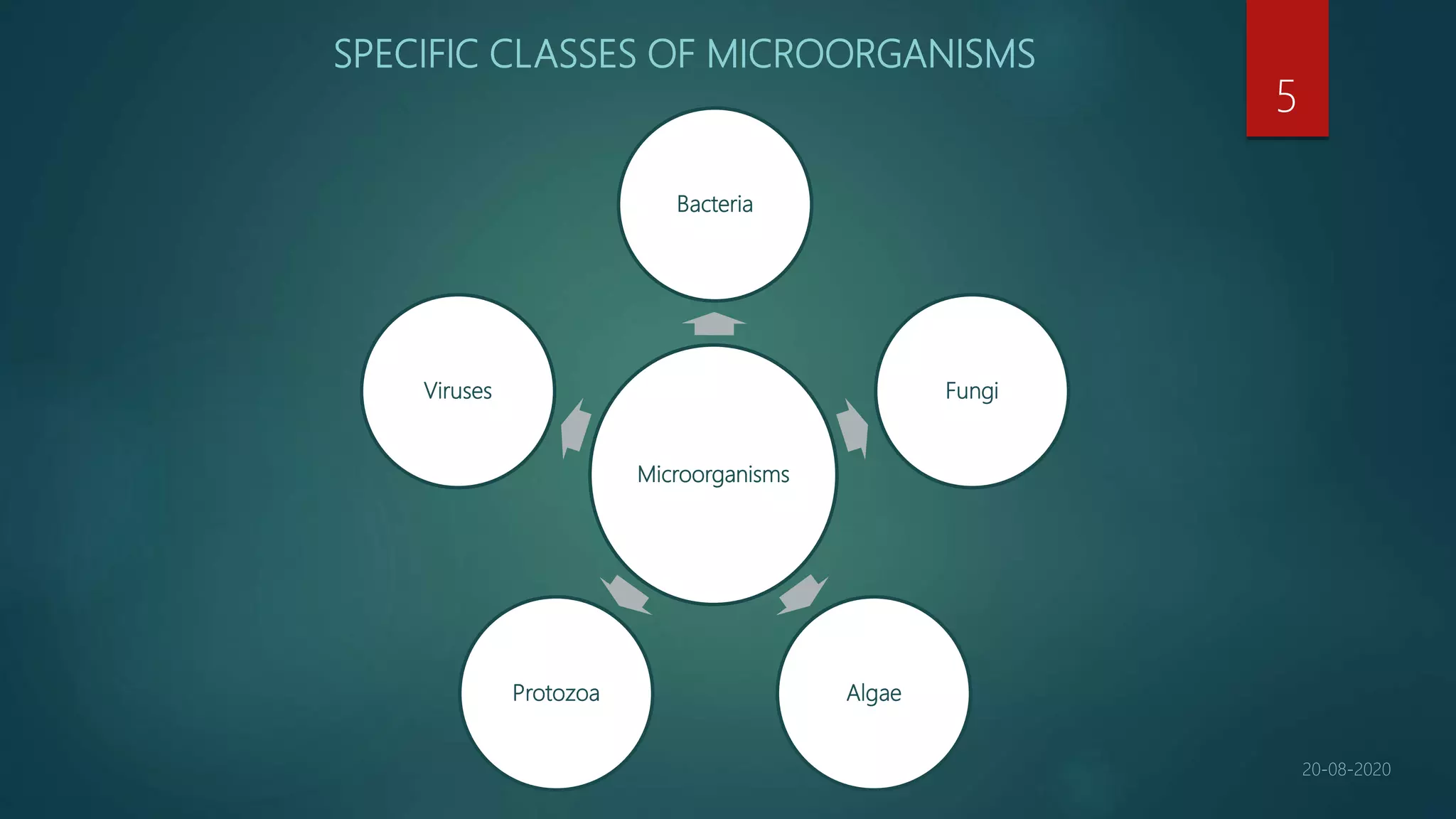 Introduction to microbiology | PPTX