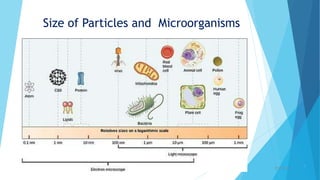 Introduction to microbiology | PPTX