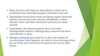 Introduction to Microbiology.pptx