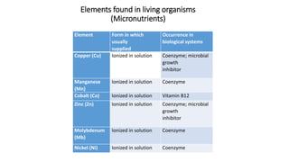 Introduction to Microbiology.pptx