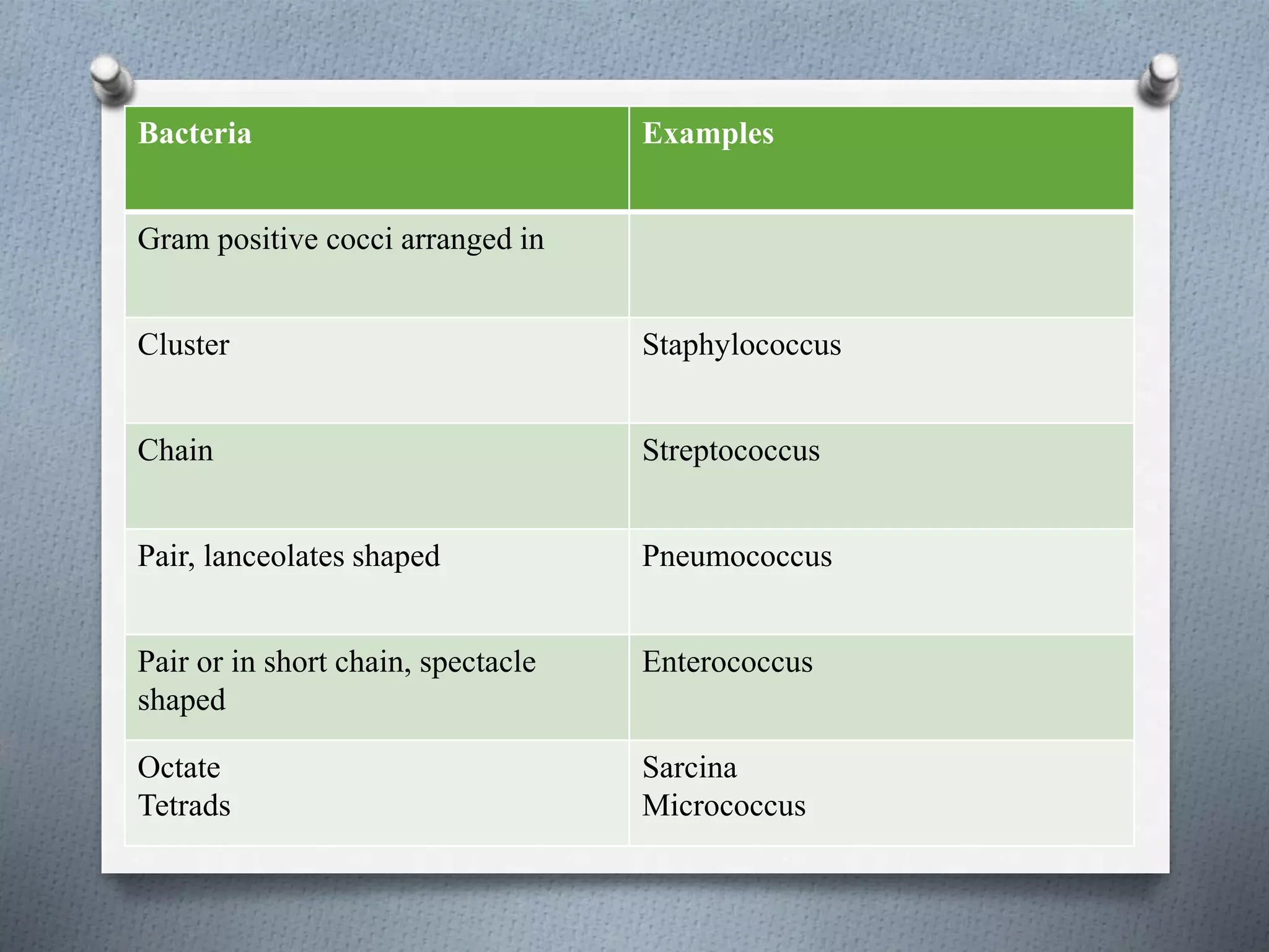 introduction to microbiology.pptx