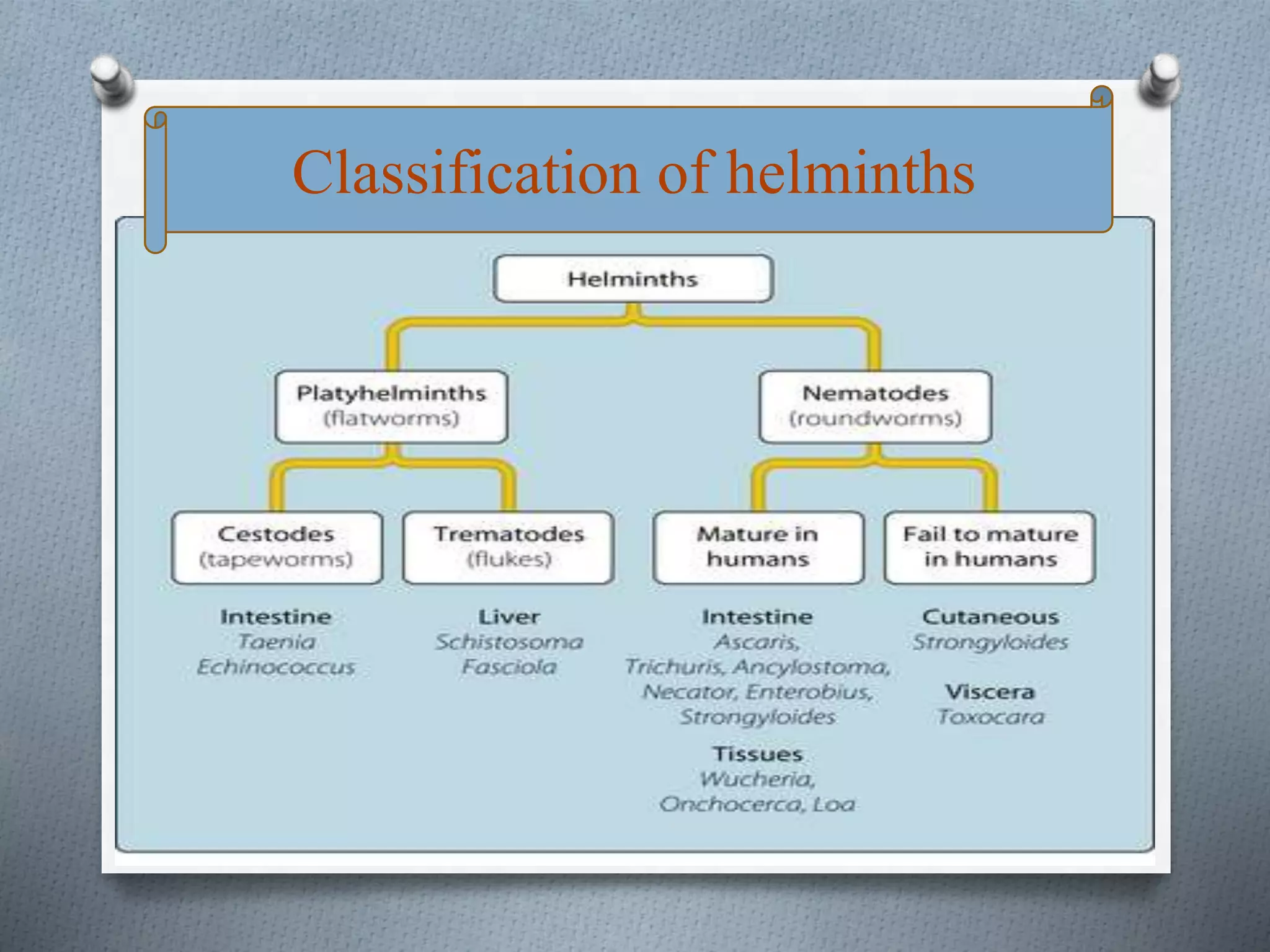 introduction to microbiology.pptx